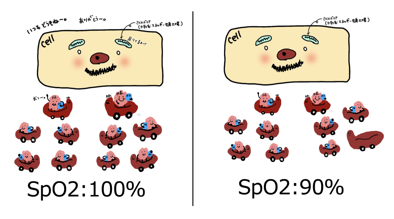大量出血時はHbが遅れて低下する？その機序は？検査データに頼らない！フィジカルアセスメントの重要性 - 看護師りーぬの備忘録